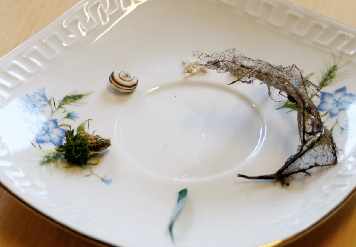 Stone experiment #3: Ca circulation – Talent Tales for Inclusion