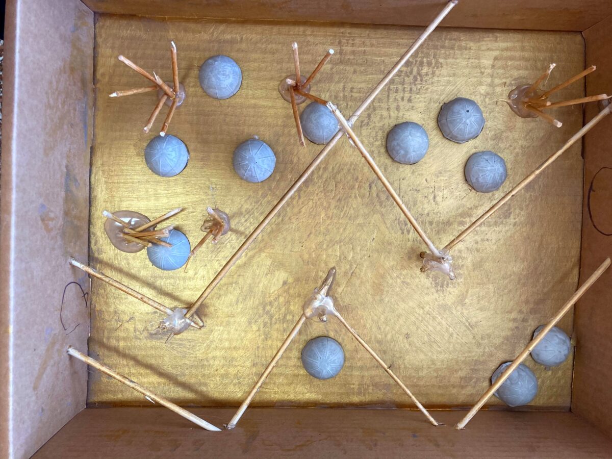 Labyrinth exercise – connecting paths through teamwork – Talent Tales ...